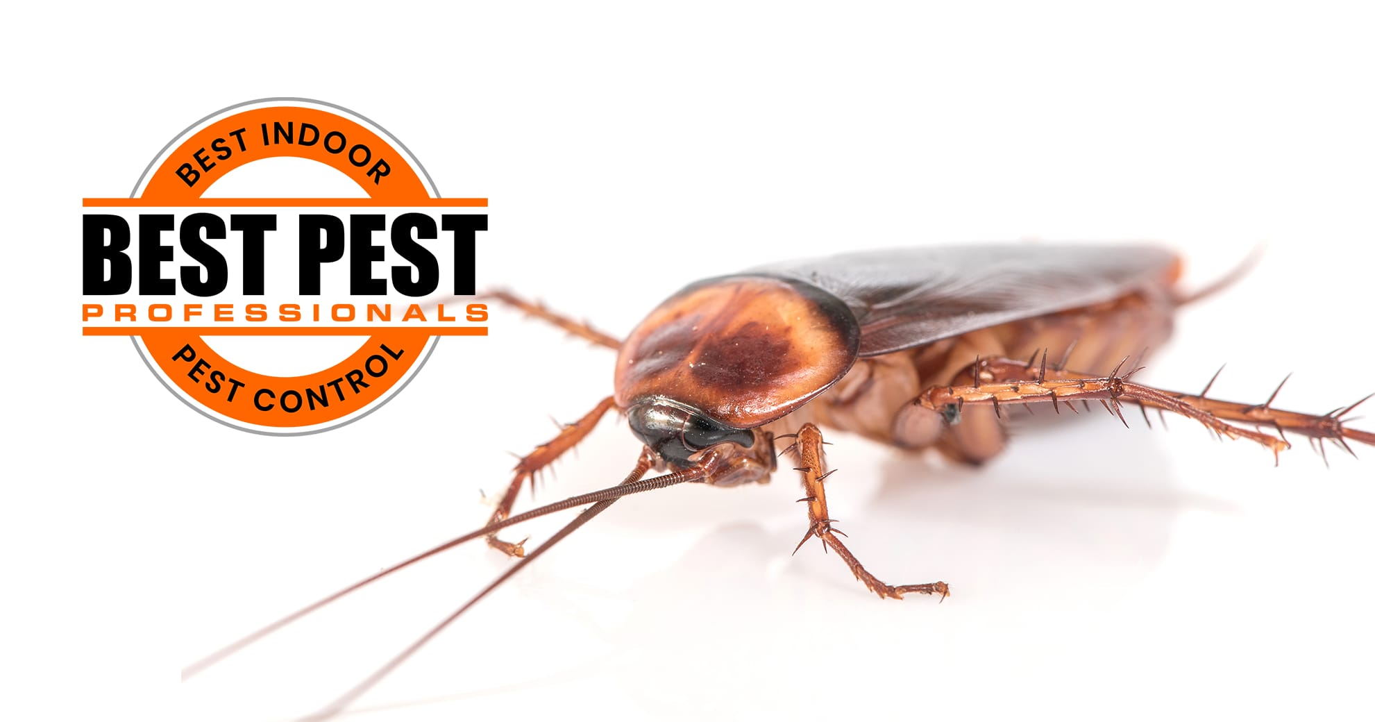 Best Pest Professionals